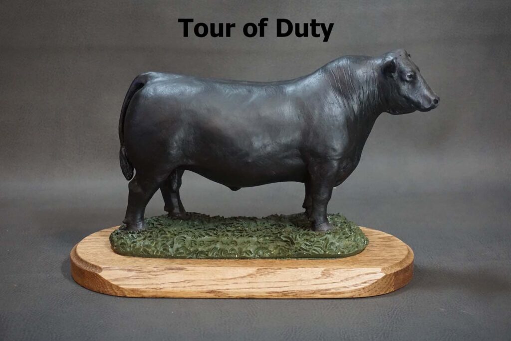 Angus bull, black bull Figurine, livestock awards